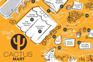 About – Cactus Mart